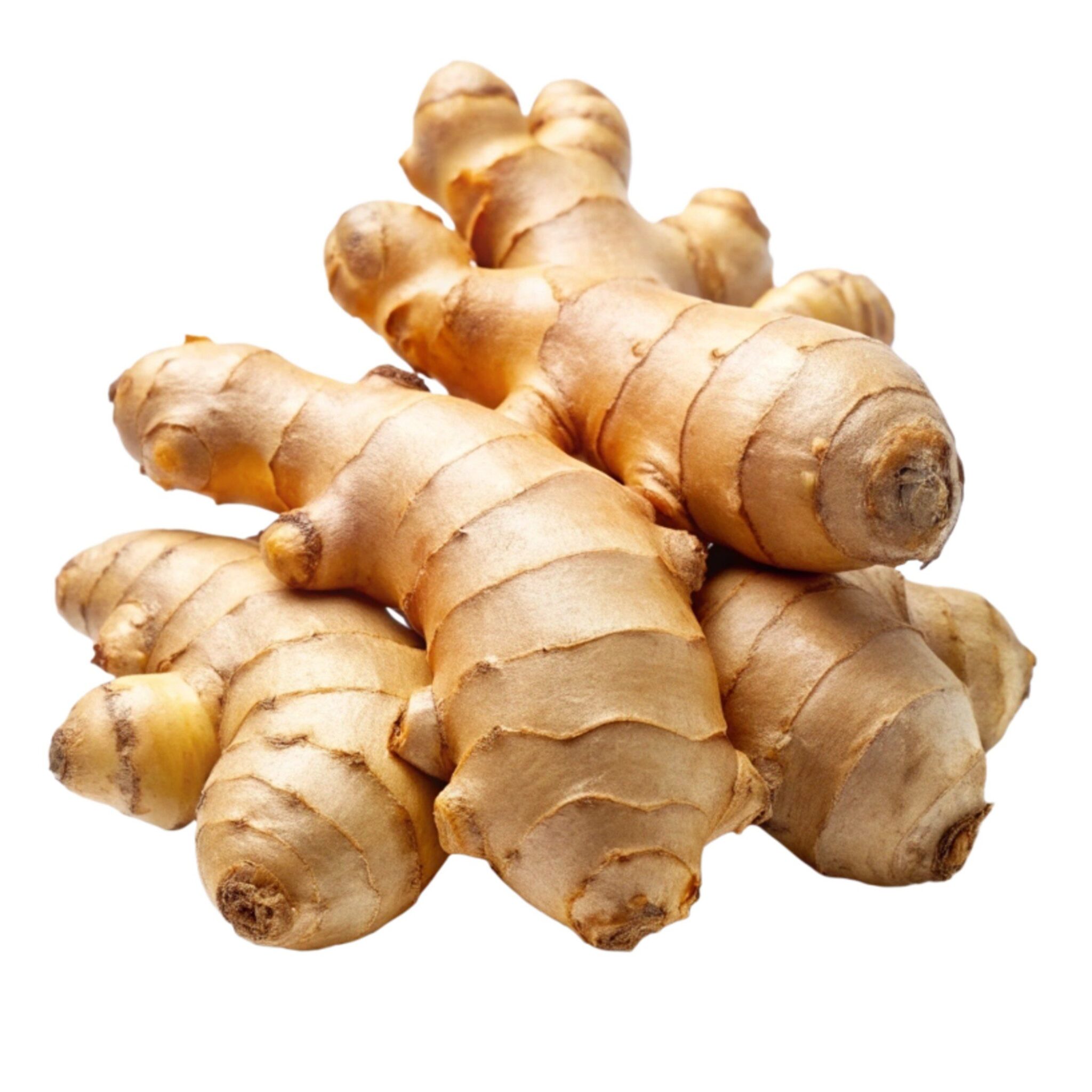 Fresh Adrak Ginger Online at Best Price | Organic & Healthy